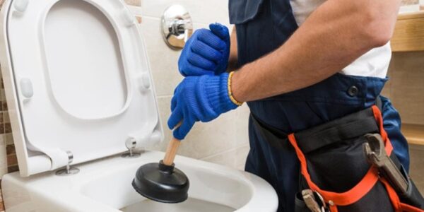 The 3 Most Common Home Toilet Problems - Home Next Level